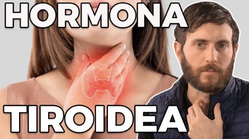 Hipotiroidismo Soluciones Naturales Hashimoto Suplementos Y